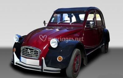 Dandy's Cars