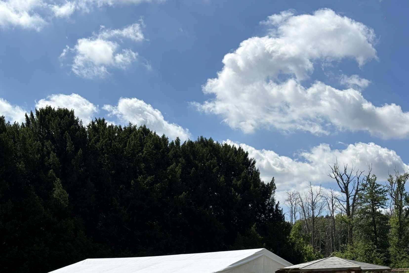 Barnum Réception - Vérifiez la disponibilité et les prix