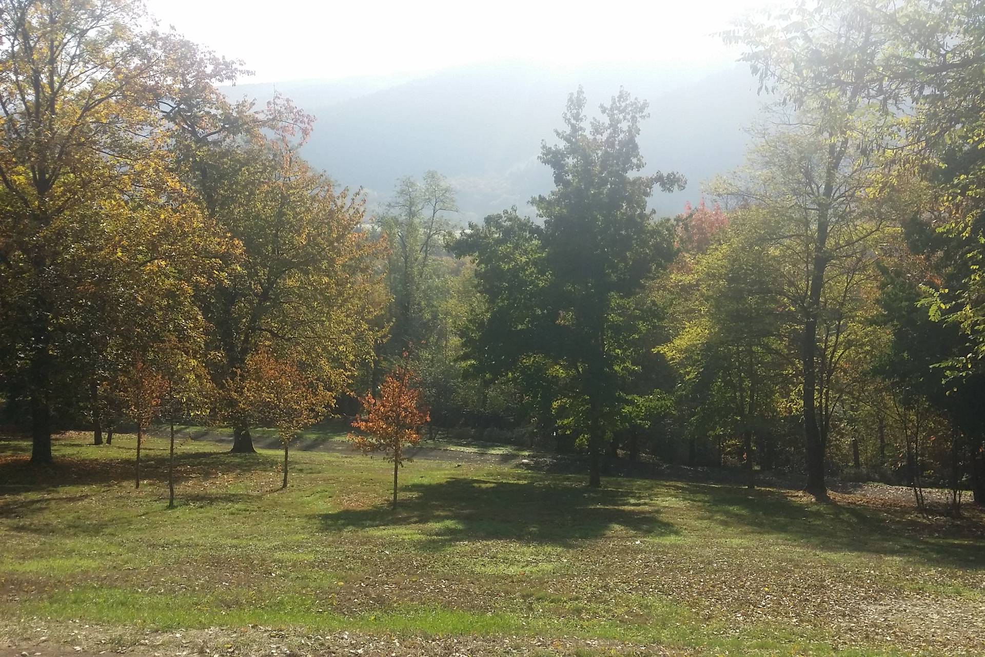 L'Ermitage du Rebberg - Vérifiez la disponibilité et les prix
